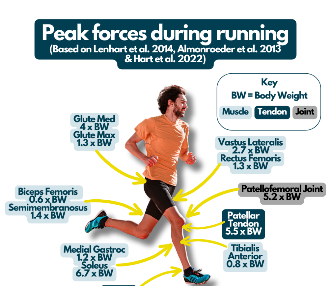 Running Injuries | RunningPhysio