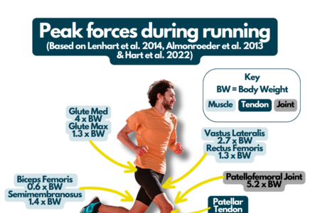 Why Do Runners Feel Tight Runningphysio